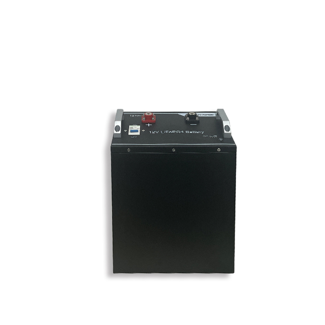 LiFePO4 Battery -LBT-12100 12V 24V 48V - Buy LiFePO4 Battery -LBT-12100 ...